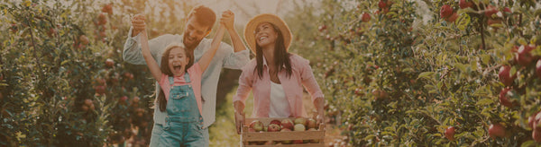 Planning a Fun Fall Weekend That Makes the Most of Your Apples - John ...